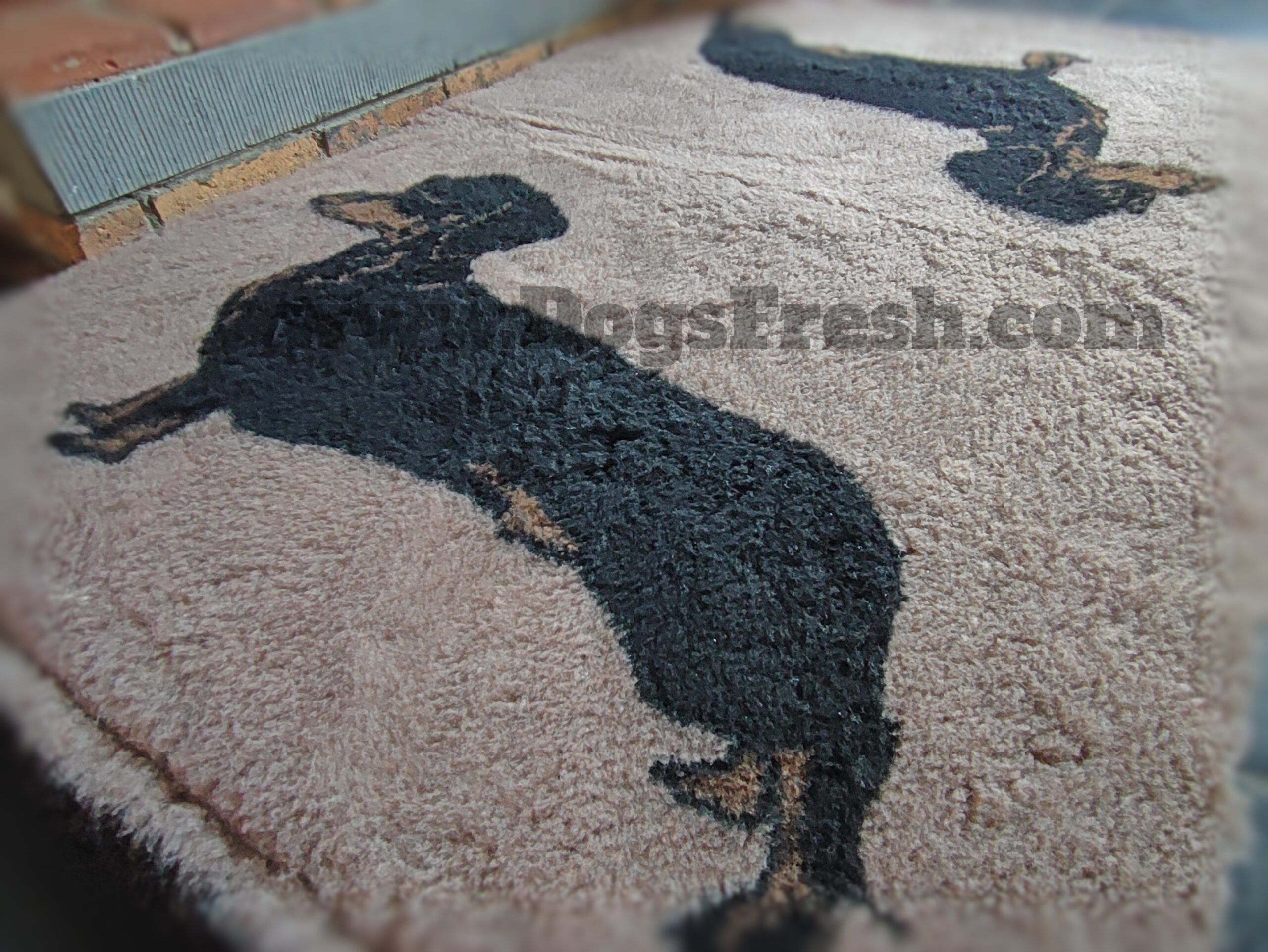 Vetbed Archives - DogsFresh