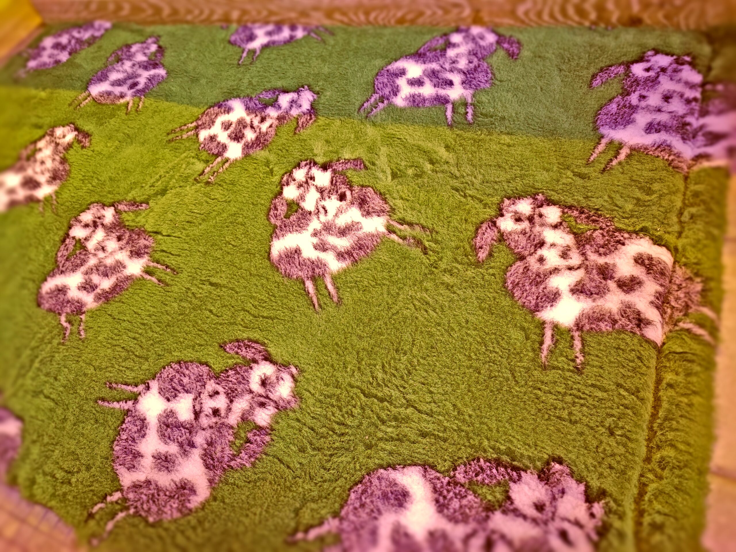 Vetbed Archives - DogsFresh